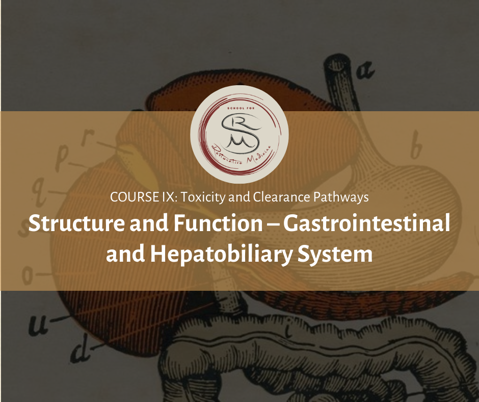 COURSE IX: Structure and Function – Gastrointestinal and Hepatobiliary ...