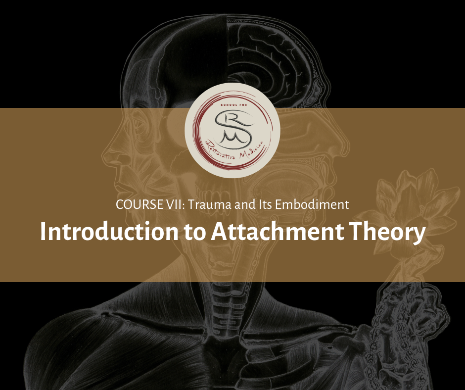 COURSE VII: Introduction to Attachment Theory